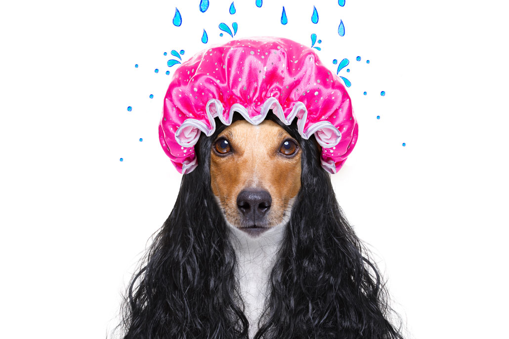 Course Costs – AAPPG